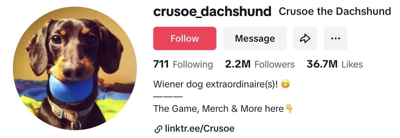 10 Dog Influencers Shaping Social Media In 2025